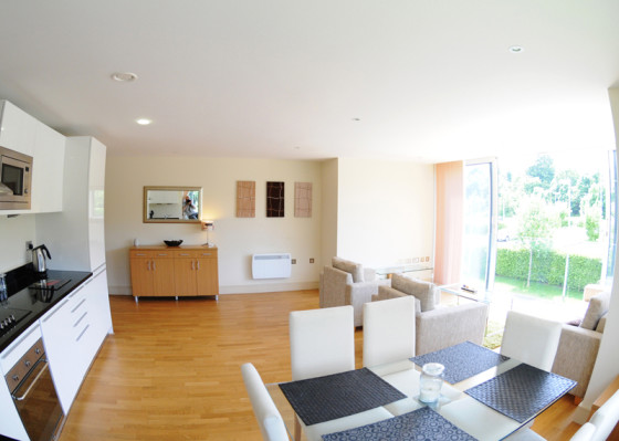 Hayes Point -Samuel Francis & Co.